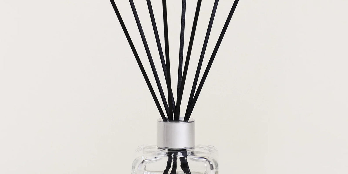Radiant Bergamot | Reed Diffuser Essential Oil - Cube | Maison Berger ...