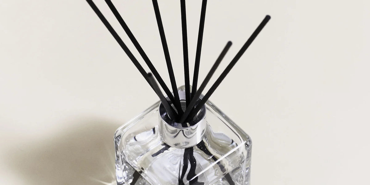 Radiant Bergamot | Reed Diffuser Essential Oil - Cube | Maison Berger ...